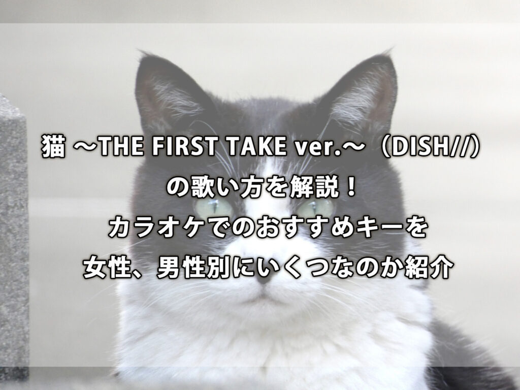 猫 ～THE FIRST TAKE ver.～（DISH//）の歌い方を解説！ カラオケでのおすすめキーを女性、男性別にいくつなのか紹介 | ボイトレマニア